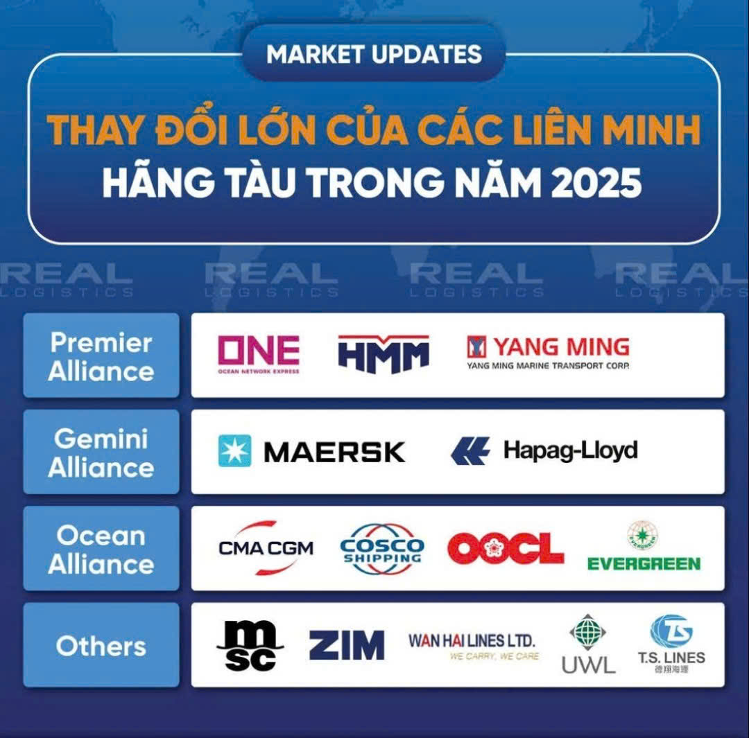 MSC bắt tay với ONE, HMM và YANG MING: Bức tranh liên minh hãng tàu thay đổi kể từ đầu năm 2025 ...